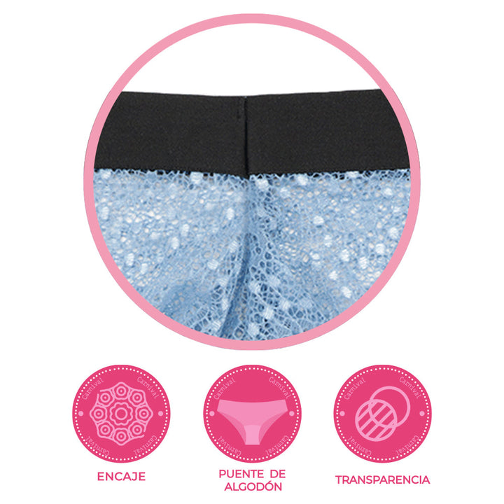 tipos de calzones para mujer | Explora distintos tipos de calzones